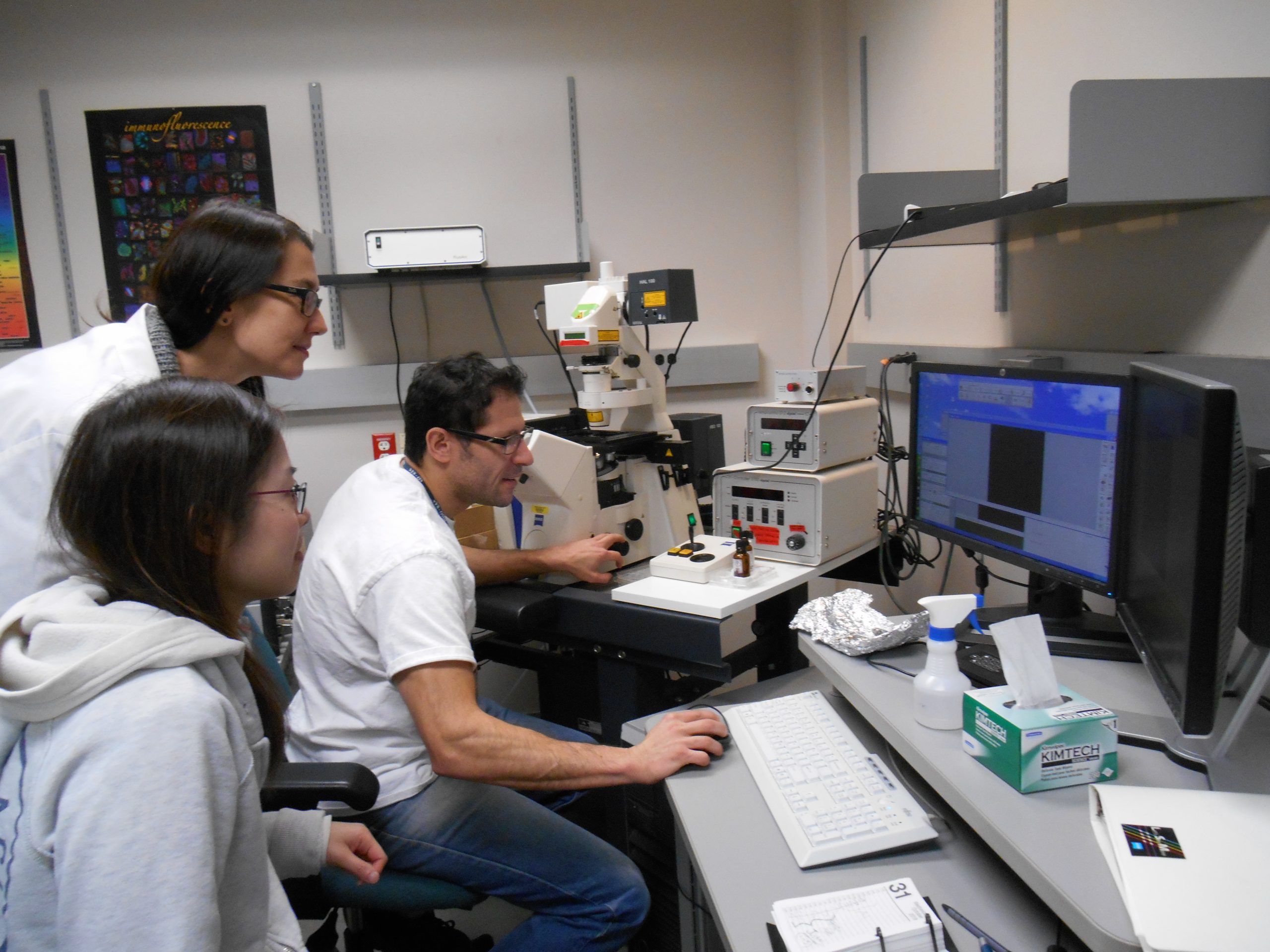 Collaborating Divisions - Center for Dementia Research