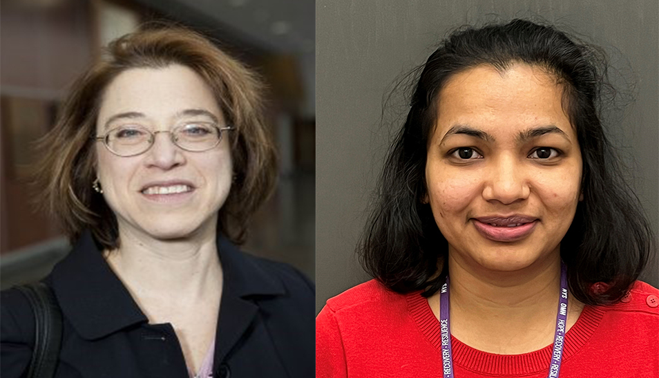 Scharfman Lab Members Publish in Neuron - Center for Dementia Research