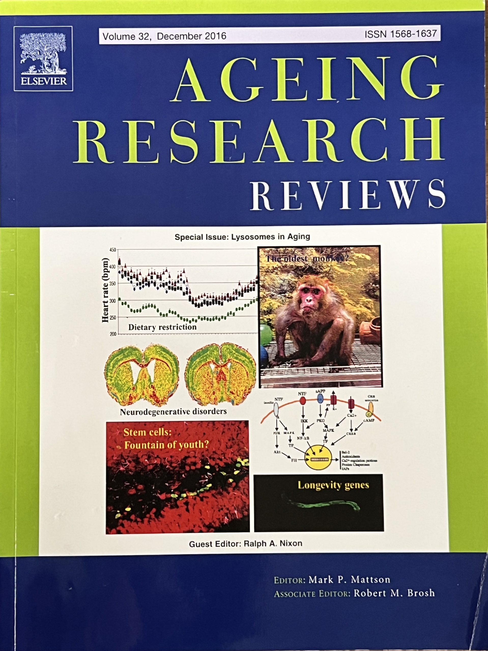 News | Center for Dementia Research